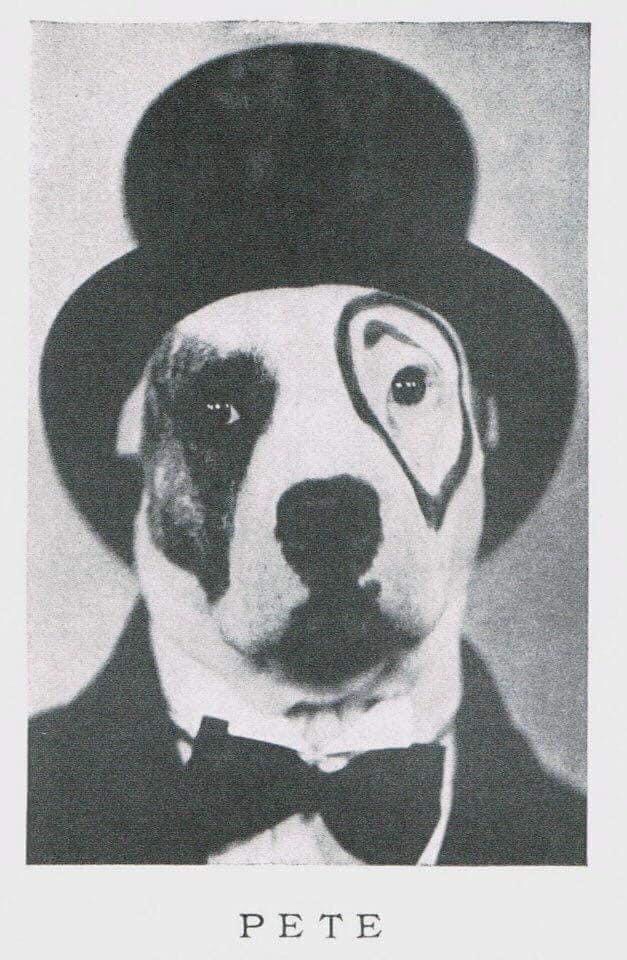 Pete the Pup…the Waco Connection! – Waco, Texas History in Pictures